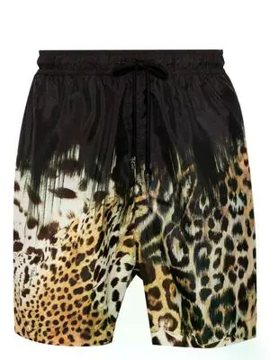 Roberto Cavalli Tiger Tooth-detailed Leopard-print Swim Shorts - Black