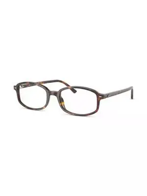 Ray-ban Glasses