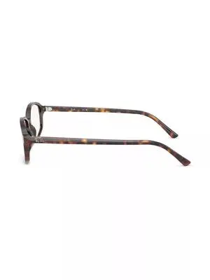 Ray-ban Glasses