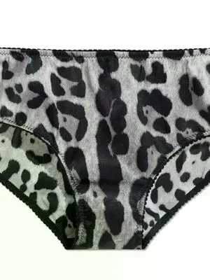Dolce & Gabbana Leopard-print Briefs
