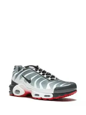 Nike Air Max Plus Sneakers