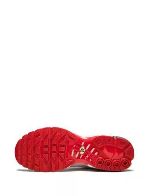 Nike Air Max Plus Sneakers