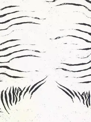 Roberto Cavalli Zebra-print Sweatshirt