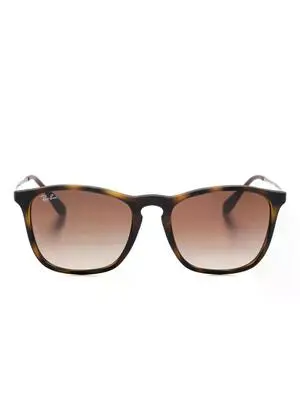 Ray-ban Chris Sunglasses Brown