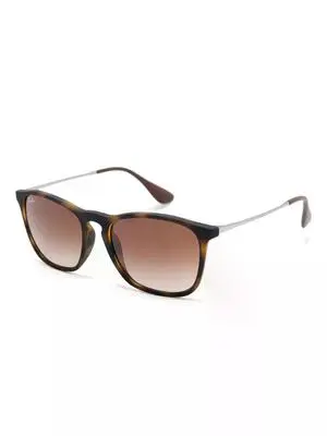 Ray-ban Chris Sunglasses - Brown