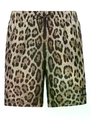 Dolce & Gabbana Leopard-print Swim Shorts - Neutrals