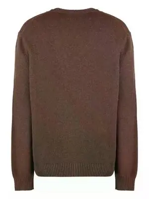 Malo Cashmere Crew Neck Sweater - Brown