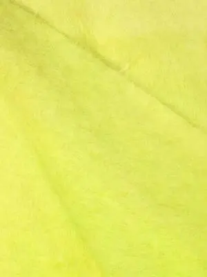Acne Studios Fringed Scarf - Green