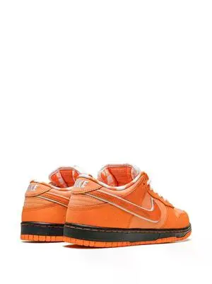 Nike X Concepts Sb Dunk Low Lobster Special Box Sneakers - Orange