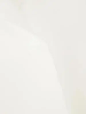 Sportmax Cotton Blazer
