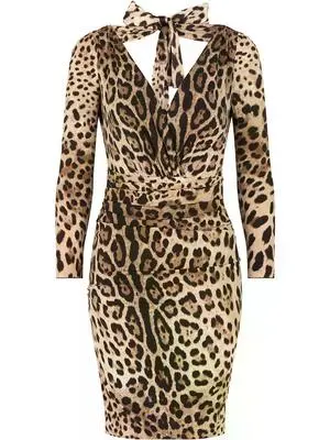 Dolce & Gabbana Leopard-print Stretch-silk Dress