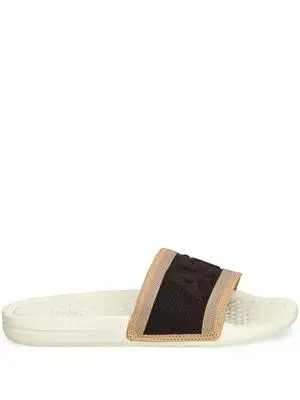 Apl Big Logo Techloom Slides - Brown