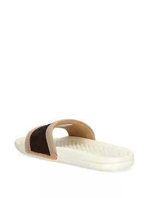 Apl Big Logo Techloom Slides - Brown
