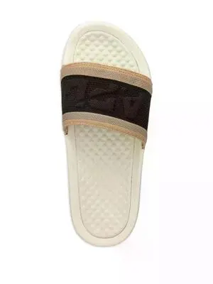 Apl Big Logo Techloom Slides - Brown