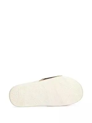 Apl Big Logo Techloom Slides - Brown