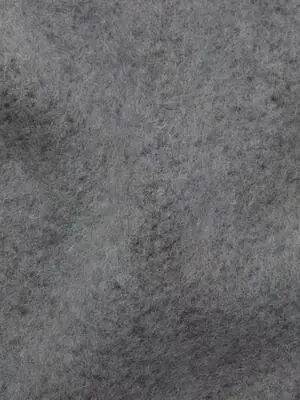 Acne Studios Fringed Logo Scarf - Black