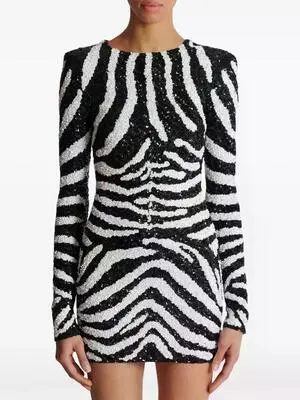 Balmain Zebra-pattern Sequin-embellished Dress