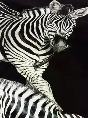Dolce & Gabbana Zebra-print Silk Quilt Blanket