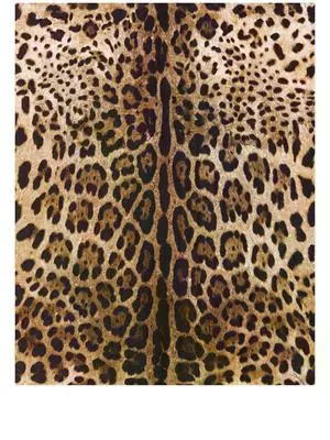 Dolce & Gabbana Leopard-print Wallpaper - Brown