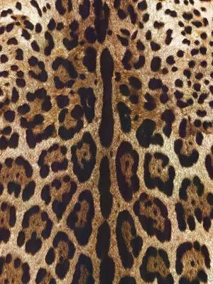 Dolce & Gabbana Leopard-print Wallpaper