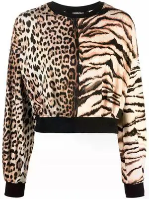 Roberto Cavalli Animal-print Long-sleeve Blouse