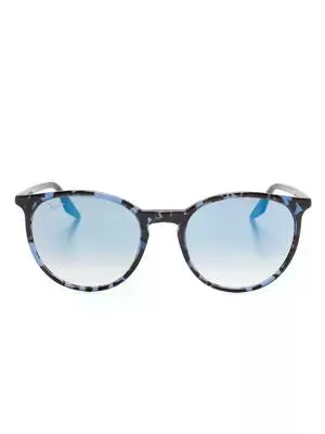 Ray-ban Rb2204 Sunglasses