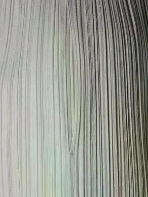 Issey Miyake Pleated Trousers