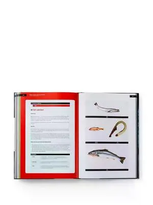 PHAIDON PRESS Unelaborated Products: Definition And Classification