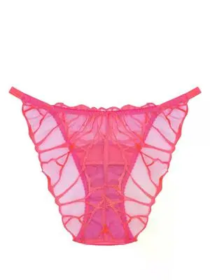 FLEUR OF ENGLAND Cleo Briefs