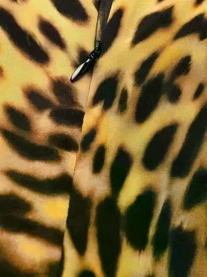 Stella McCartney Leopard-print Silk Flounce Dress
