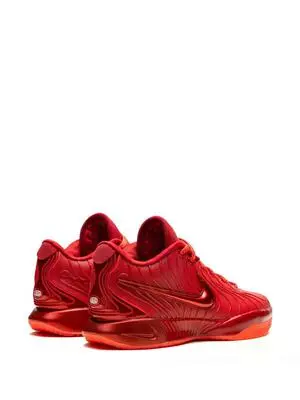 Nike Lebron 21 James Gang Sneakers
