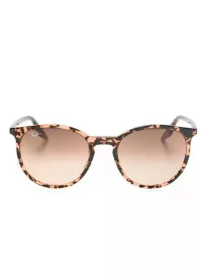 Ray-ban Rb2203 Sunglasses - Brown