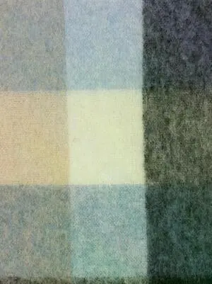 Acne Studios Checked Mohair-blend Scarf - Blue