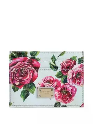 Dolce & Gabbana Floral-print Cardholder - Blue