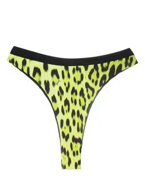 Roberto Cavalli Leopard-print Bikini Bottoms - Green