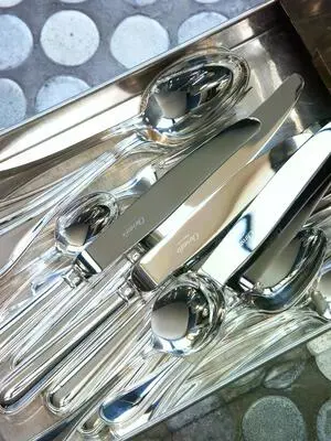 Christofle Albi 48-piece Flatware Set