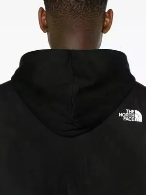 The North Face Coordinates Hoodie