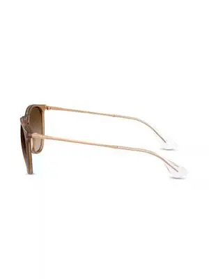 Ray-ban Erika Sunglasses - Neutrals