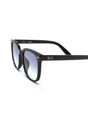Ray-ban Sunglasses