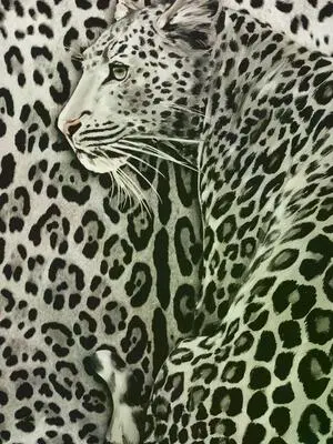 Dolce & Gabbana Leopard-print Scarf
