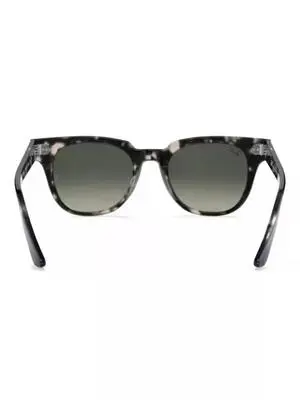 Ray-ban Sunglasses With Protective Case