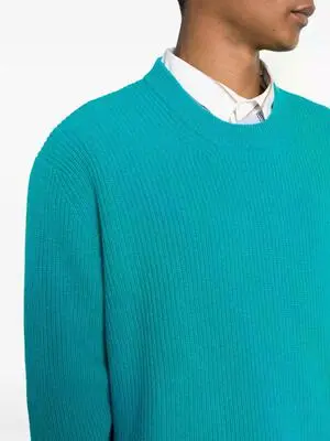 LANEUS Ribbed Knit Crew-neck Jumper