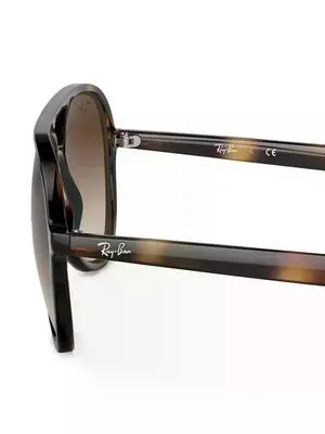 Ray-ban Tortoiseshell Aviator Frames - Green