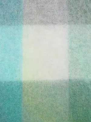 Acne Studios Logo-patch Checked Scarf - Grey
