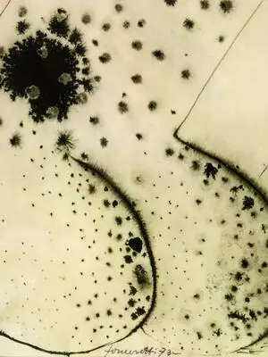 FORNASETTI Erotic Painting