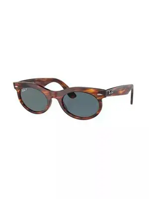 Ray-ban Wayfarer Oval Frame Sunglasses