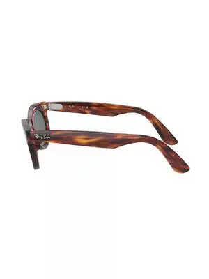 Ray-ban Wayfarer Oval Frame Sunglasses