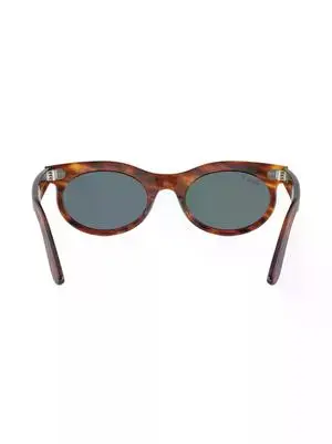 Ray-ban Wayfarer Oval Frame Sunglasses
