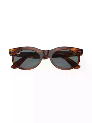 Ray-ban Wayfarer Oval Frame Sunglasses