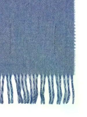Marni Check-patterned Fringe Scarf - Blue